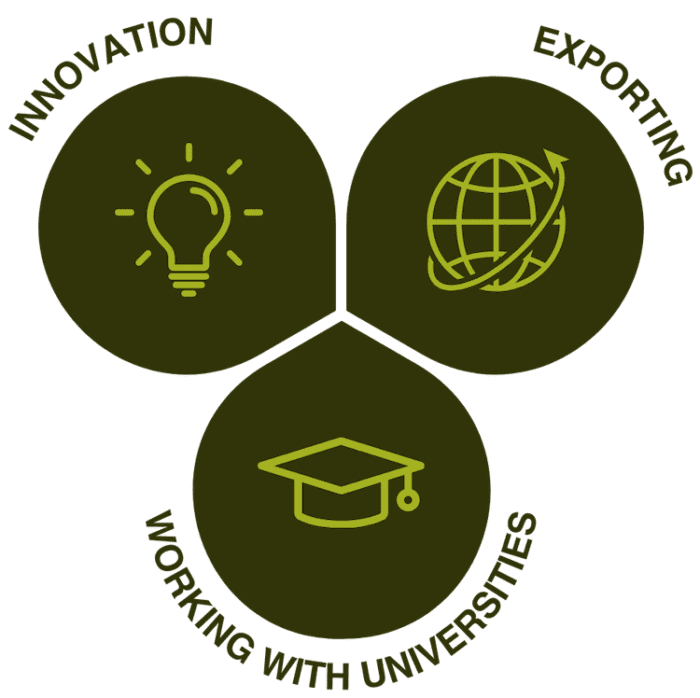 Growth Catalyst | Innovation Wight